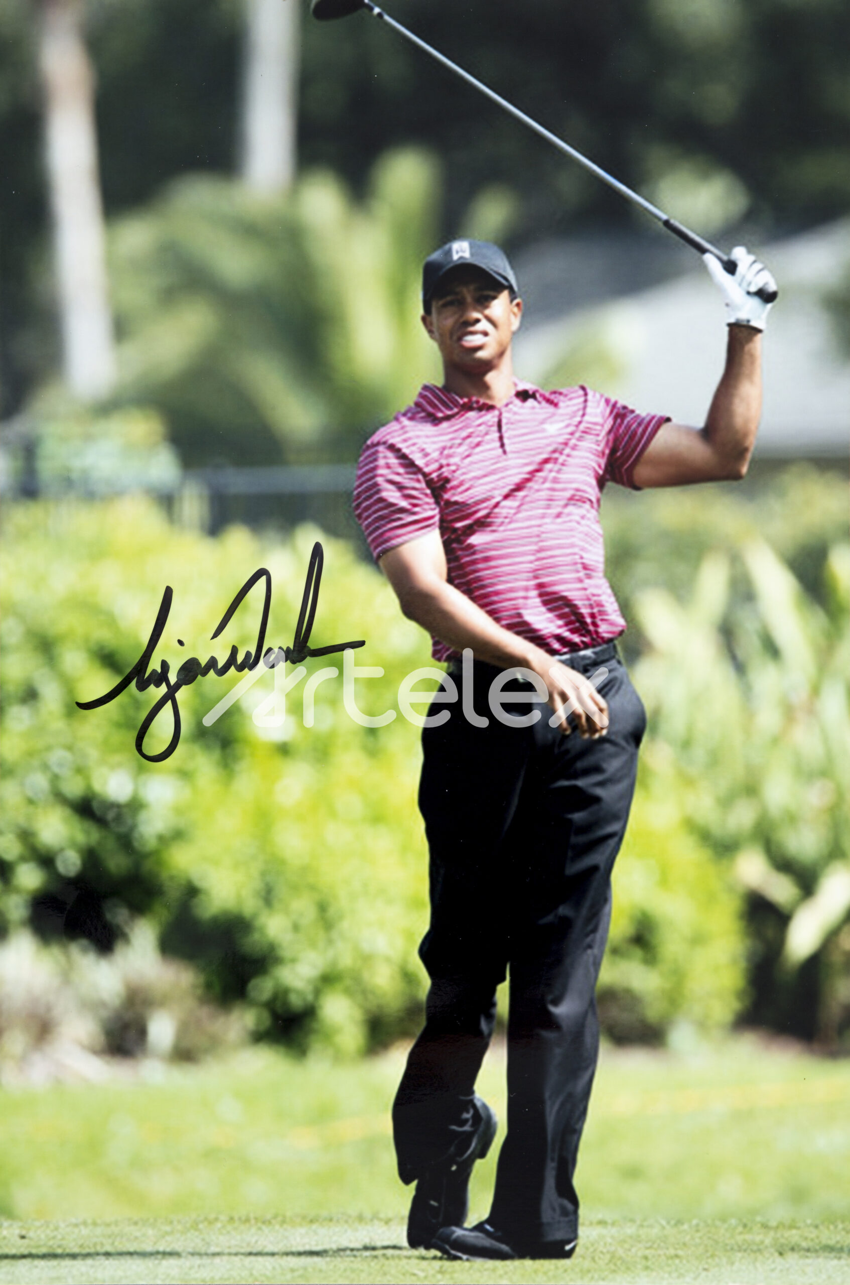 Tiger Woods' Signature - ARTELEX